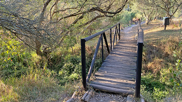 Strandveld Adventures